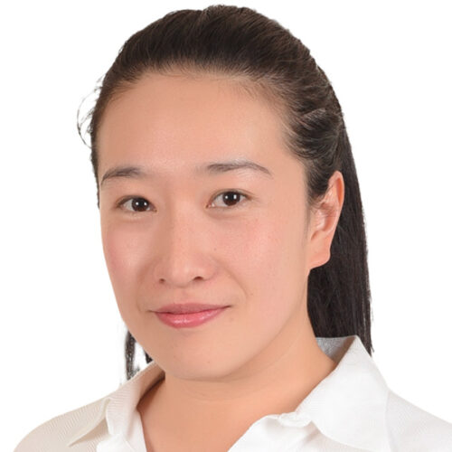 Pulau pinang representatives - DAP Malaysia